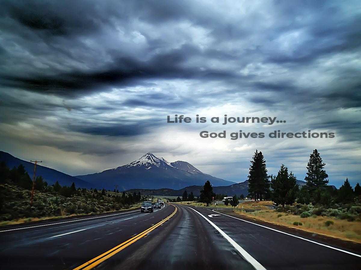 Bill's Books | the author website of Bill Boylan